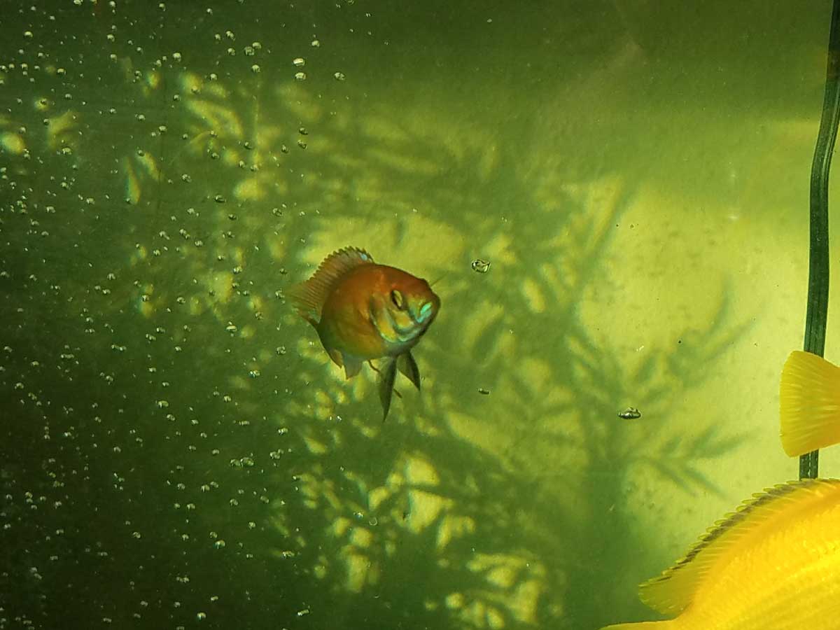 Contact Us | Eight Fish