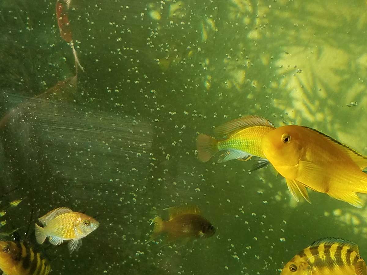 Contact Us | Eight Fish